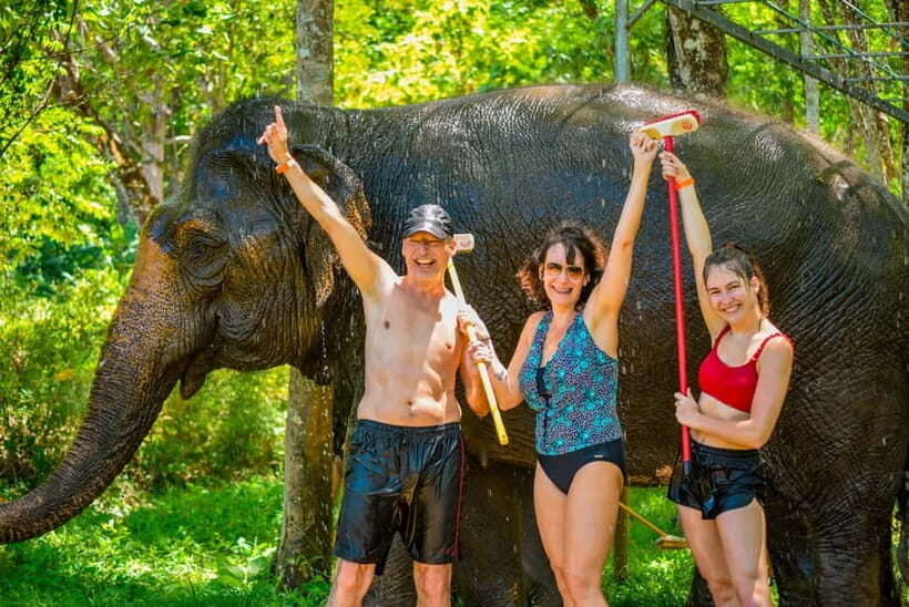 Phuket: Happy Hour Feed and Rain Shower with Elephant - A Closer Look at the Experience