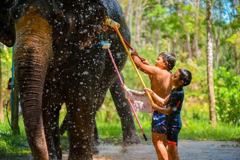 Phuket: Happy Hour Feed and Rain Shower with Elephant - Authenticity and Reviews: What Travelers Say