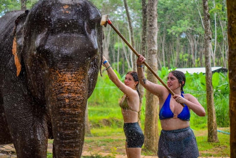 Phuket: Happy Hour Feed and Rain Shower with Elephant - Final Thoughts: Who Will Love This?