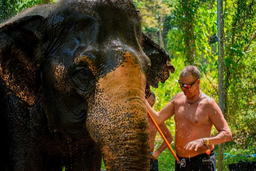 Phuket: Happy Hour Feed and Rain Shower with Elephant - FAQs
