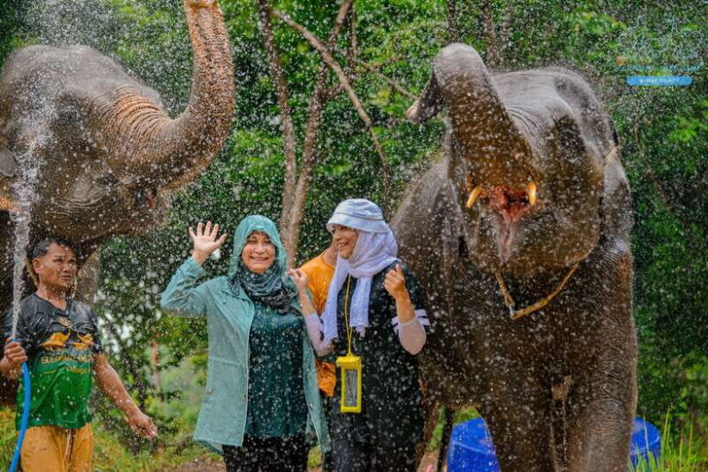 Phuket: Happy Hour Feed and Rain Shower with Elephant - Key Points