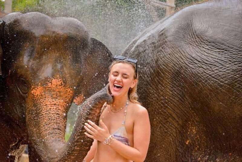 Phuket: Happy Hour Feed and Rain Shower with Elephant - The Itinerary in Detail