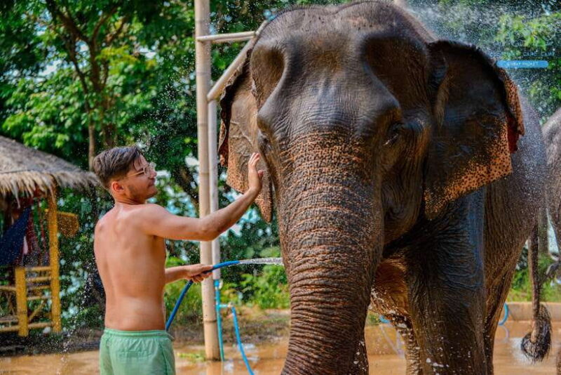 Phuket: Happy Hour Feed and Rain Shower with Elephant - What Makes This Tour Special?