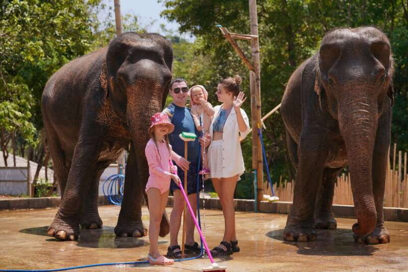 Phuket: Happy Hour Feed and Rain Shower with Elephant - Who Should Consider This Tour?