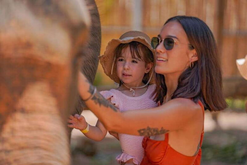 Phuket: Happy Hour Feed and Rain Shower with Elephant - Final Thoughts