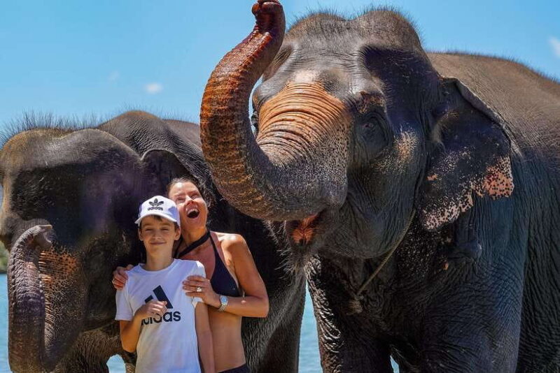Phuket: Happy Hour Feed and Rain Shower with Elephant - FAQ