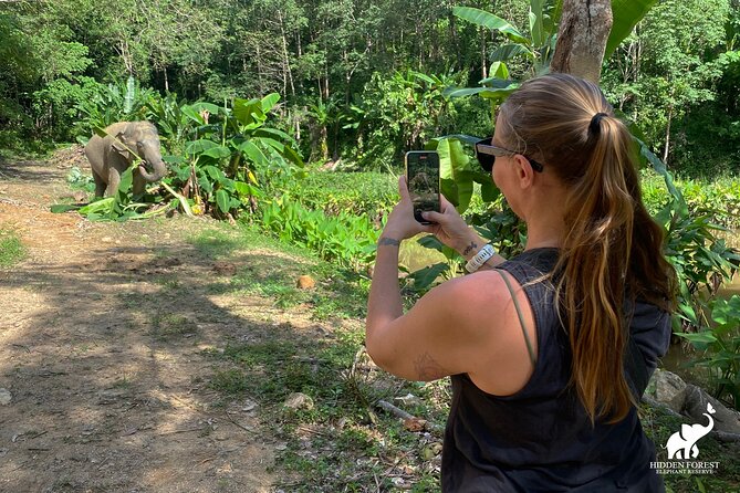Phuket: Hidden Forest Elephant Reserve Guided Tour with Lunch - Why This Tour Is Worth Considering