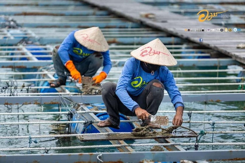 Phuket: Highlights Tour with Pearl Farm & Elephant Village - Summing It Up: Is This Tour Right for You?