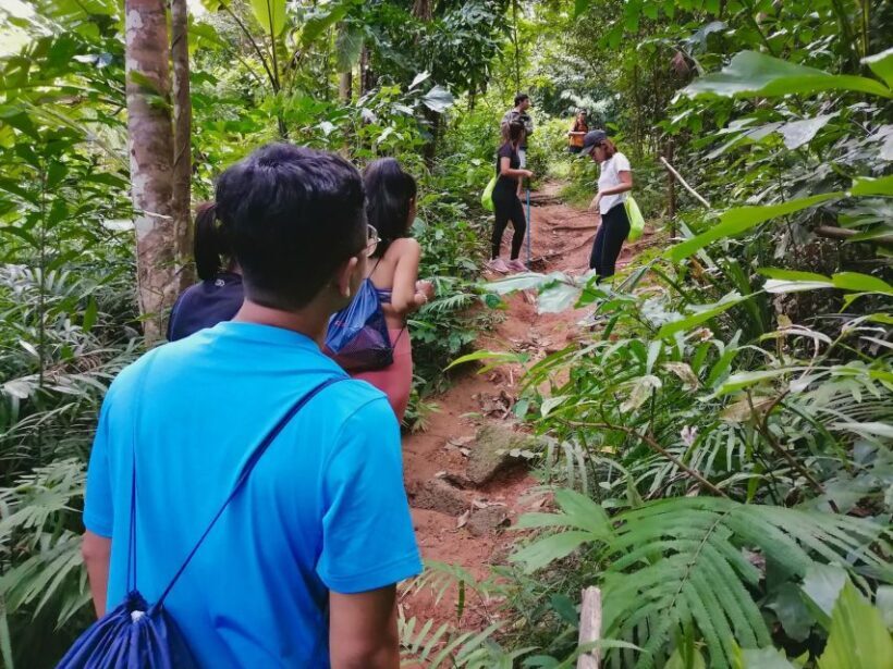 Phuket: Hiking to Sunrise - Who Should Consider This Tour?