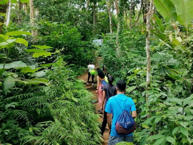 Phuket: Hiking to Sunrise - FAQ Section