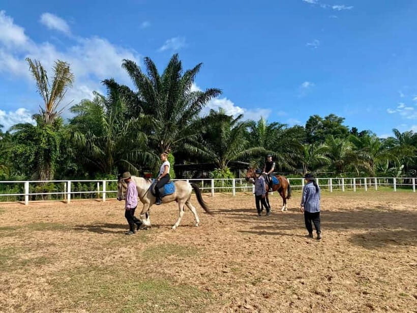 Phuket: Horseback Riding at Ao Chalong Scenic Nature Views - Key Points