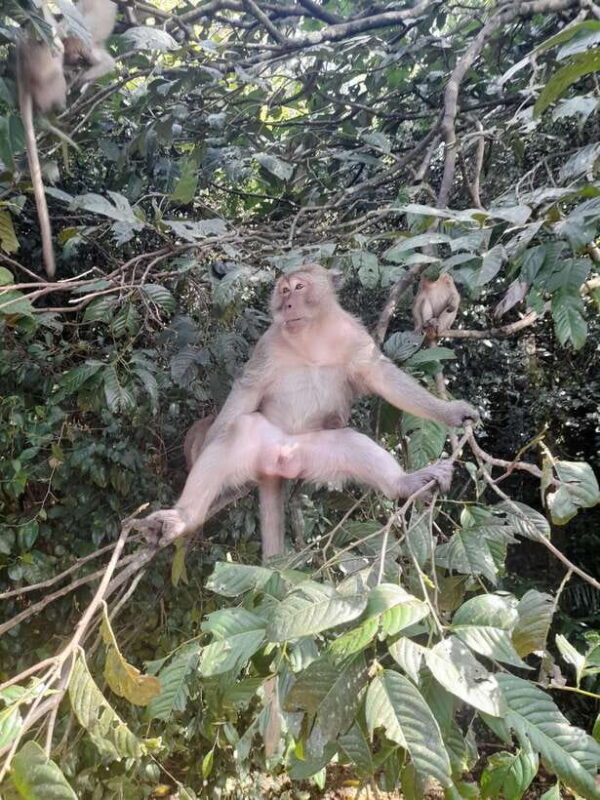 Phuket: James Bond Island by Longtail Boat VIP Group Tour - Final Thoughts on the Experience