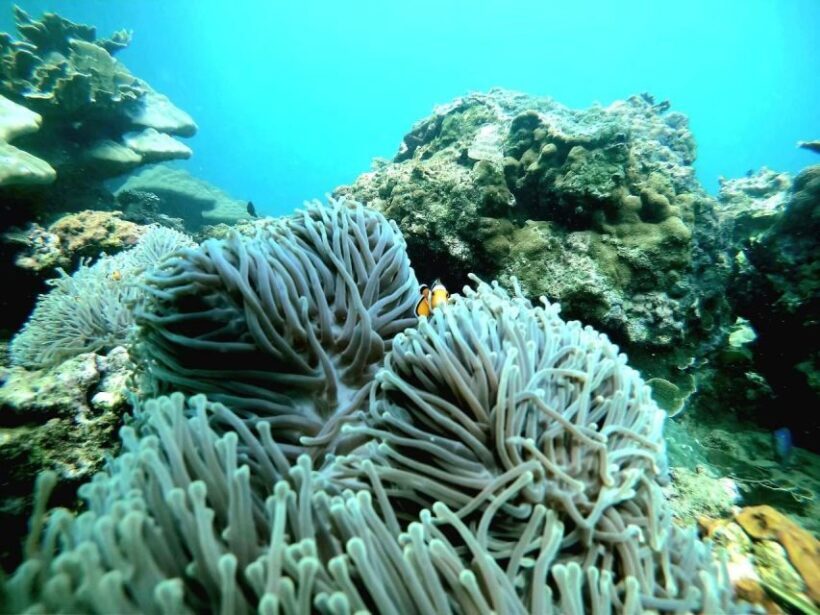 Phuket: James Bond & Phang Nga Island Day Trip - Comfortable and Convenient Transportation