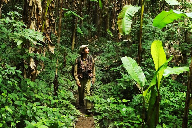 Phuket Jungle Trekking Experience at Khao Phra Taew National Park - Key Points