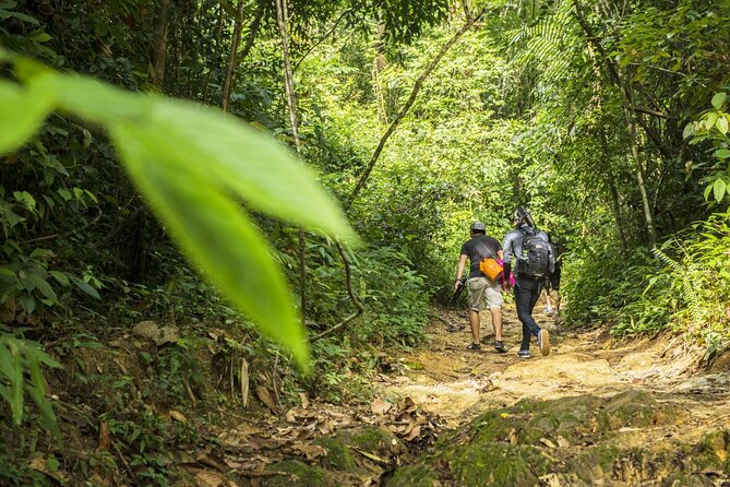 Phuket Jungle Trekking Experience at Khao Phra Taew National Park - The Trek Itself: What to Expect