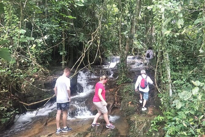 Phuket Jungle Trekking Experience at Khao Phra Taew National Park - The Personal Touch: Small Group and Guided Experience