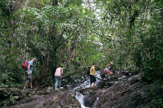 Phuket Jungle Trekking Experience at Khao Phra Taew National Park - FAQs