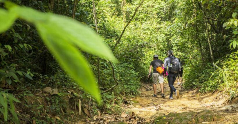 Phuket: Jungle Trekking Experience at Khao Phra Taew - Exploring Phuket’s Green Heart: A Review of the Jungle Trekking Experience at Khao Phra Taew