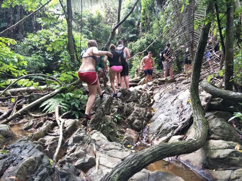 Phuket: Jungle Trekking Experience at Khao Phra Taew - Why This Tour Works Well