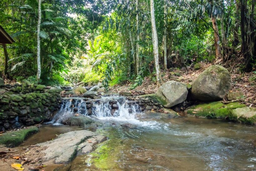 Phuket: Jungle Trekking Experience at Khao Phra Taew - Who Should Consider This Tour?