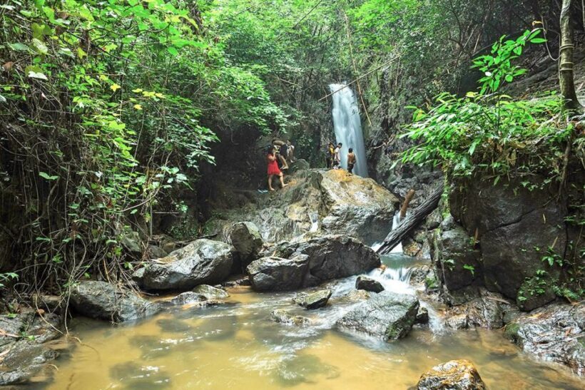 Phuket: Jungle Trekking Experience at Khao Phra Taew - The Sum Up