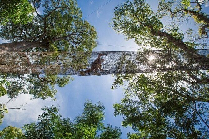 Phuket Jungle Xtreme Adventure - The Sum Up