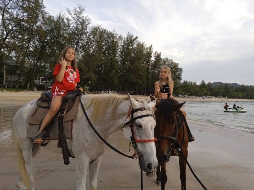 Phuket: Kamala Beach Horse Riding Activity - A Deep Dive into the Phuket Kamala Beach Horse Riding Experience