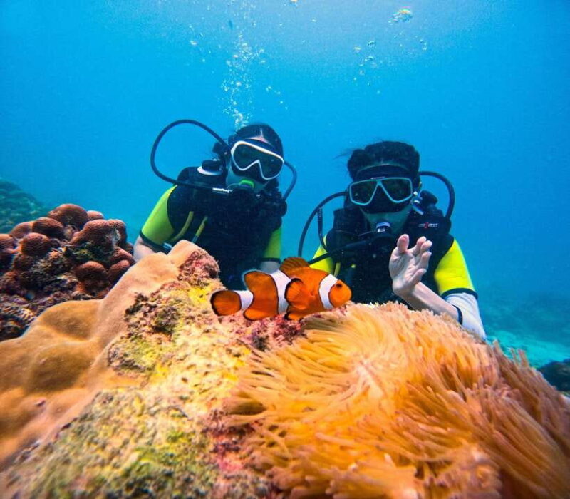 Phuket: Khai Islands Tour Or Scuba Diving Options - Key Points