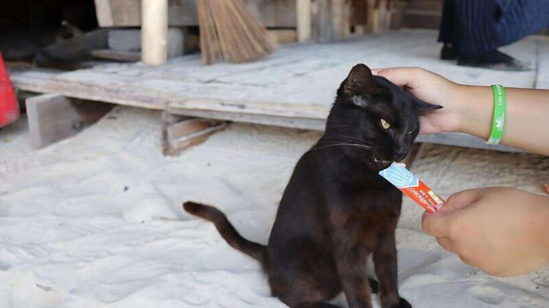 Phuket: Khai Nok, Khai Nai, and Khai Nui Island Day Trip - The Itinerary: What Really Matters