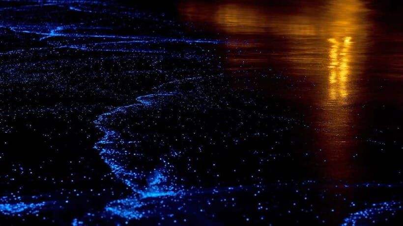 Phuket/Khao Lak: Phang Nga Bay's Grottoes & Golden Hour Glow - The Itinerary Breakdown: What to Expect