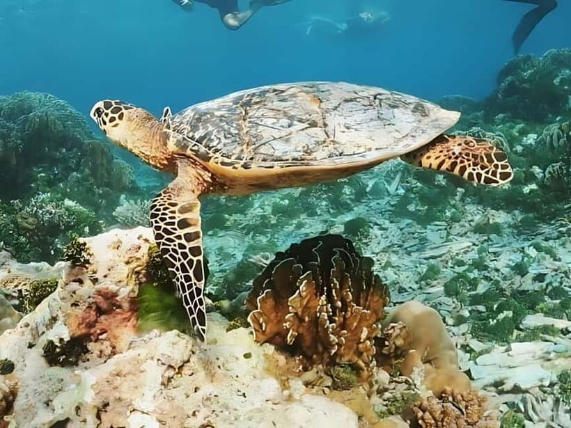 Phuket/Khao Lak: Similan Islands Boat Trip with 3 Meals - The Sum Up: Who Will Love This Experience?