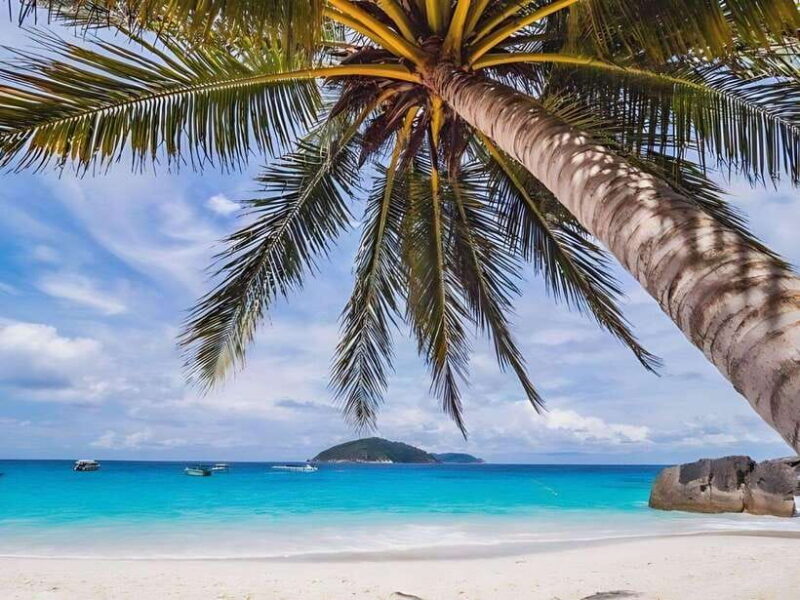 Phuket/Khao Lak: Similan Islands Boat Trip with 3 Meals - Authentic Experiences & Real Traveler Insights