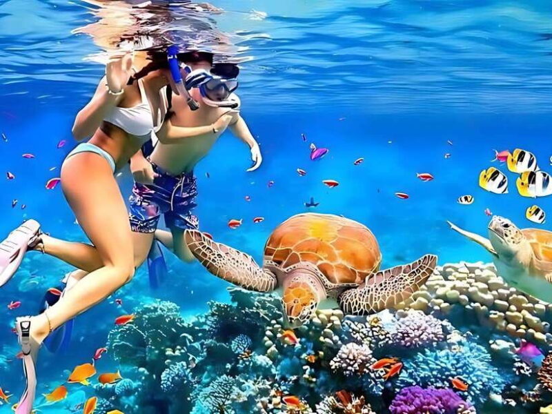 Phuket/Khao Lak: Similan Islands Boat Trip with 3 Meals - Final Thoughts: Who Should Consider This Tour?