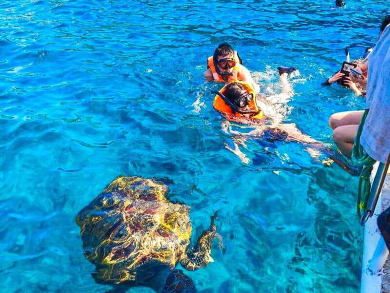 Phuket/Khao Lak: Similan Islands Speedboat Tour with Lunch - Who Is This Tour Best For?