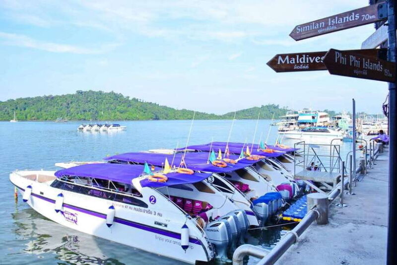 Phuket/Khao Lak: Speedboat Snorkel Tour to Similan Islands - Snorkeling and Marine Wildlife