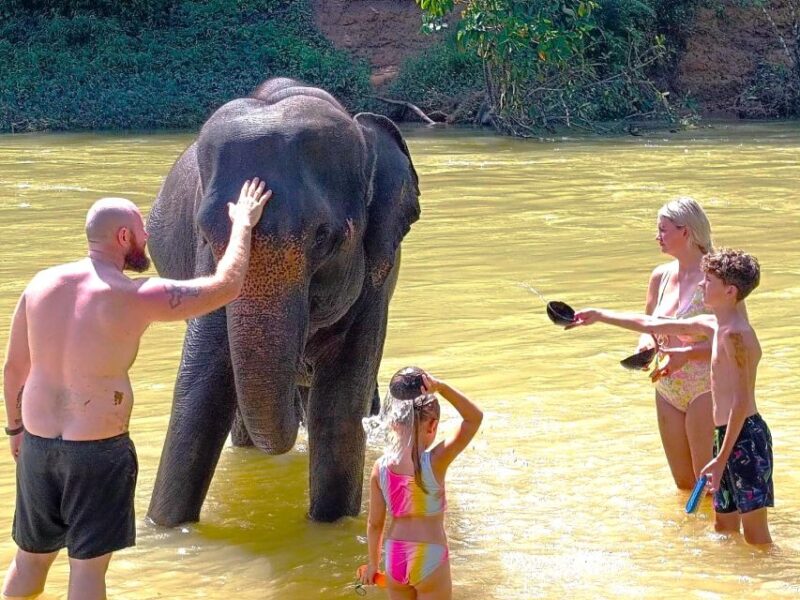 Phuket: Khao Sok Private Elephant Day Care and Bamboo Raft - A Balanced Perspective: Pros and Cons