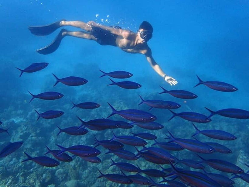 Phuket: Koh Rok and Koh Ha Day Trip (Best of Marine Park) - Key Points
