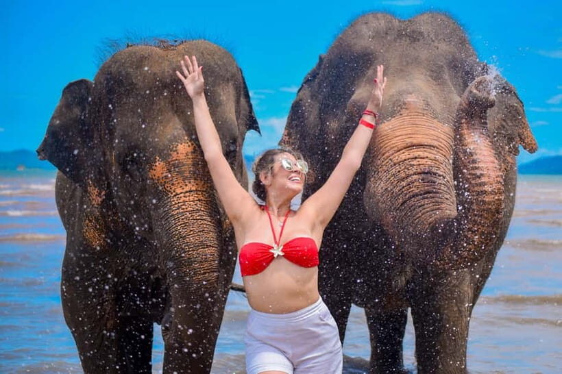 Phuket: Lily Elephant Half day Trip on the Beach with lunch - Itinerary Breakdown: What to Expect