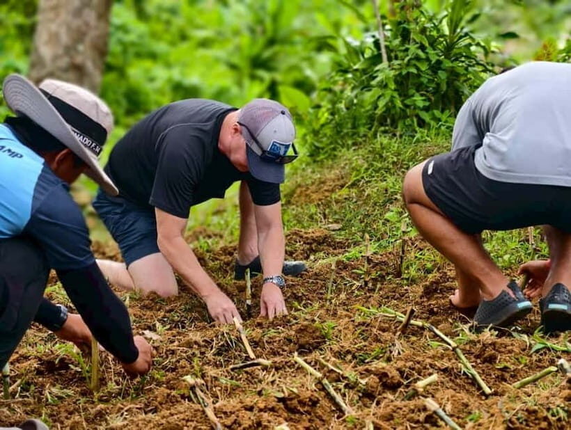 Phuket: Lily Elephant Half day Trip on the Beach with lunch - Real Traveler Feedback: What People Love