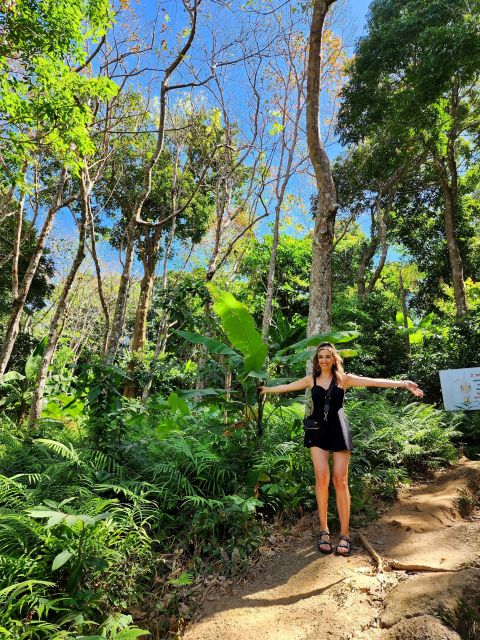 Phuket Lookouts Tour with Lunch at Organic Farm - What Makes This Tour Stand Out