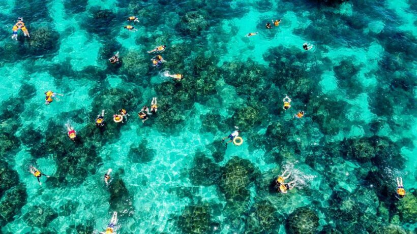 Phuket: Maya, Phi Phi, and Bamboo Island with Buffet Lunch - Who Is This Tour Best For?