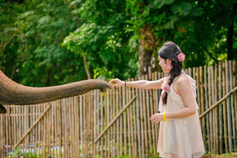 Phuket: Meet Feed & Relax with Elephant - FAQ
