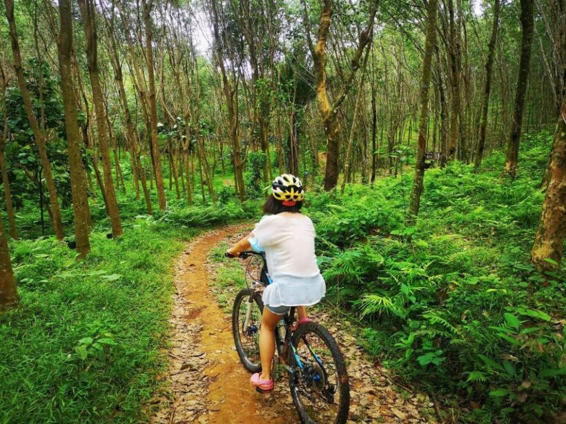 Phuket Mountain Bike Tour On Koh Yao Noi - What to Consider Before Booking