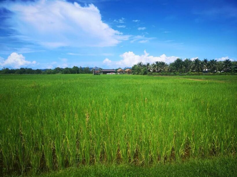 Phuket Mountain Bike Tour On Koh Yao Noi - In Summary: Who Will Love This Tour?