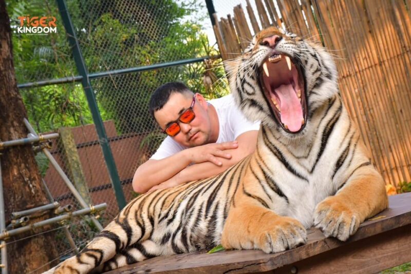 Phuket One Day Trip - Who Will Enjoy This Tour?