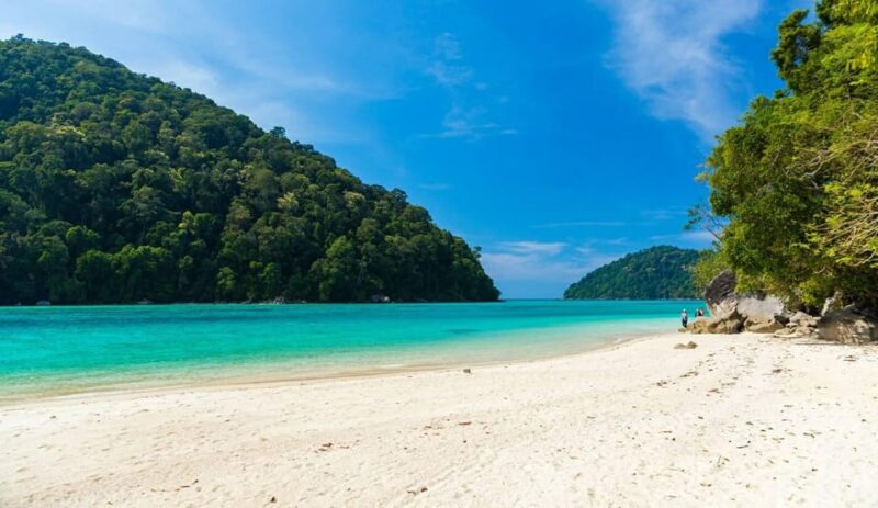 Phuket or Khao Lak: Surin Islands & Moken Village Day Trip - Key Points