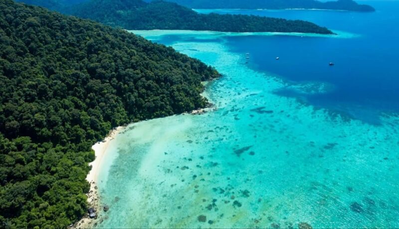 Phuket or Khao Lak: Surin Islands & Moken Village Day Trip - The Sum Up