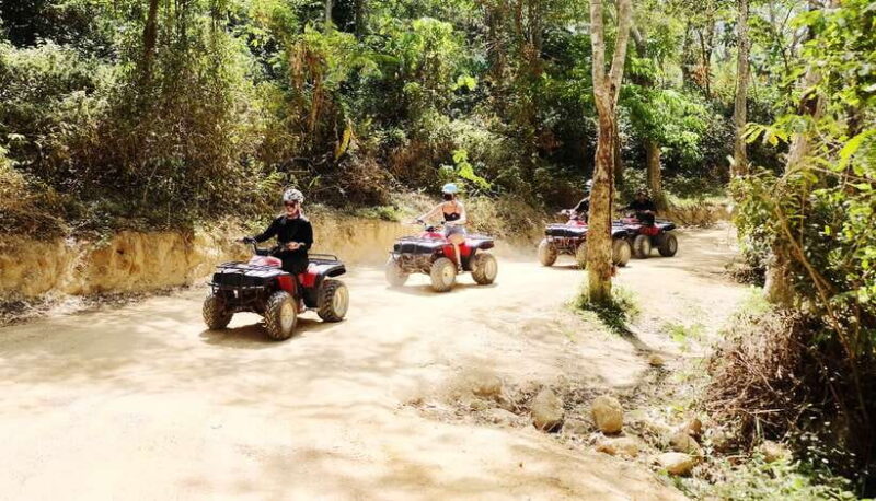 Phuket: Paradise Trip ATV Jungle Adventure - Who Should Consider This Tour?