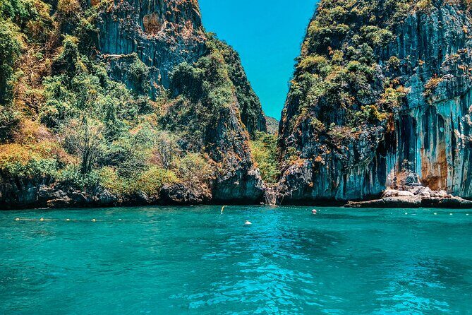 Phuket: Phi Phi and Bamboo Islands Day Trip with Buffet Lunch - Who Should Consider This Tour?