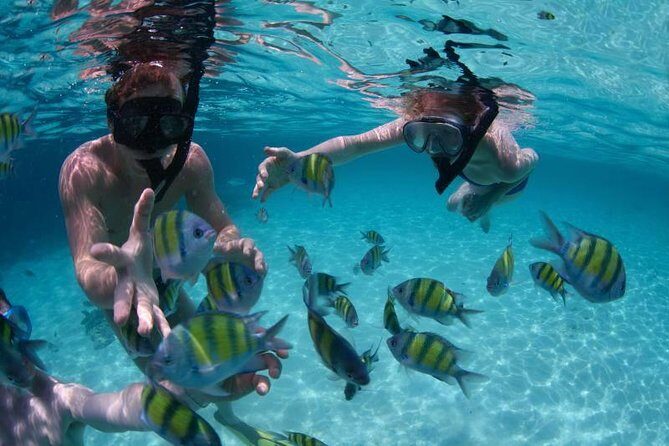 PHUKET-Phi Phi Island-Khai Island-Lunch by Sea Angel Speed Boat - Who Should Consider This Tour?
